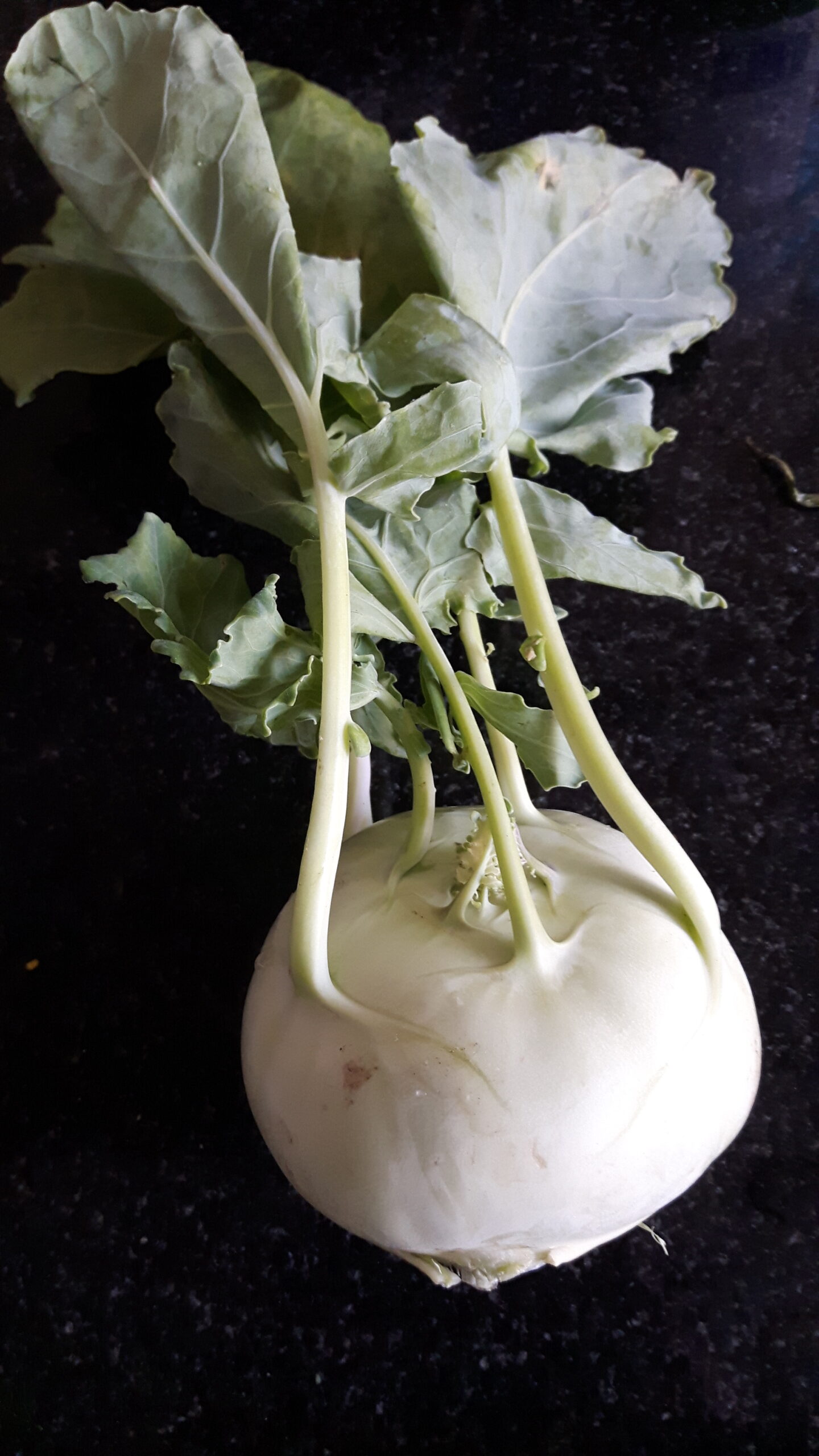 Koolrabi · Goede voeding op alle fronten